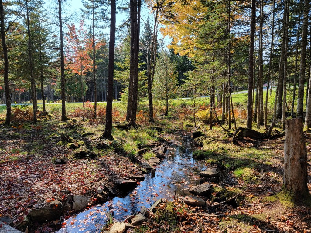 The Acreage – Goldenridge Acres Inc.